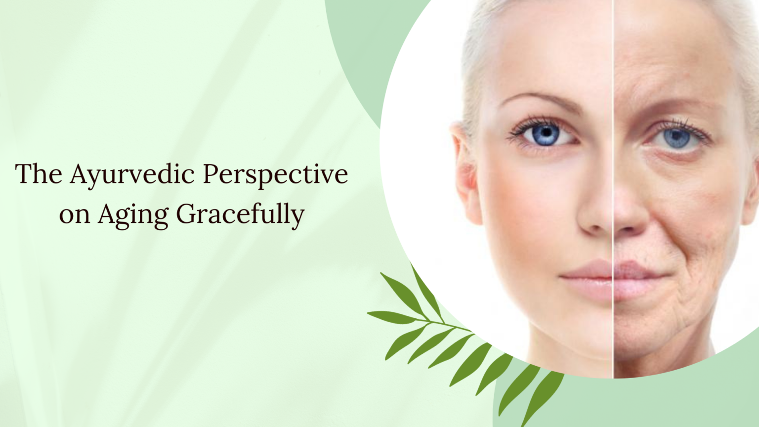 The Ayurvedic Perspective on Aging Gracefully - Charak Ayurveda